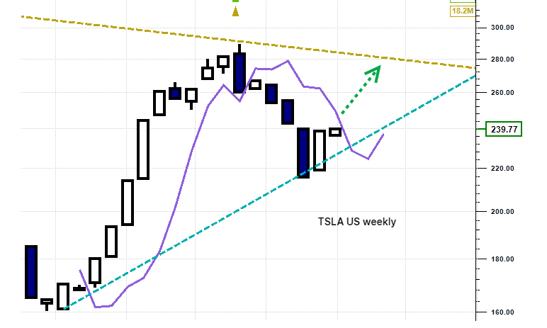 Tesla Inc. - 29 August 2023