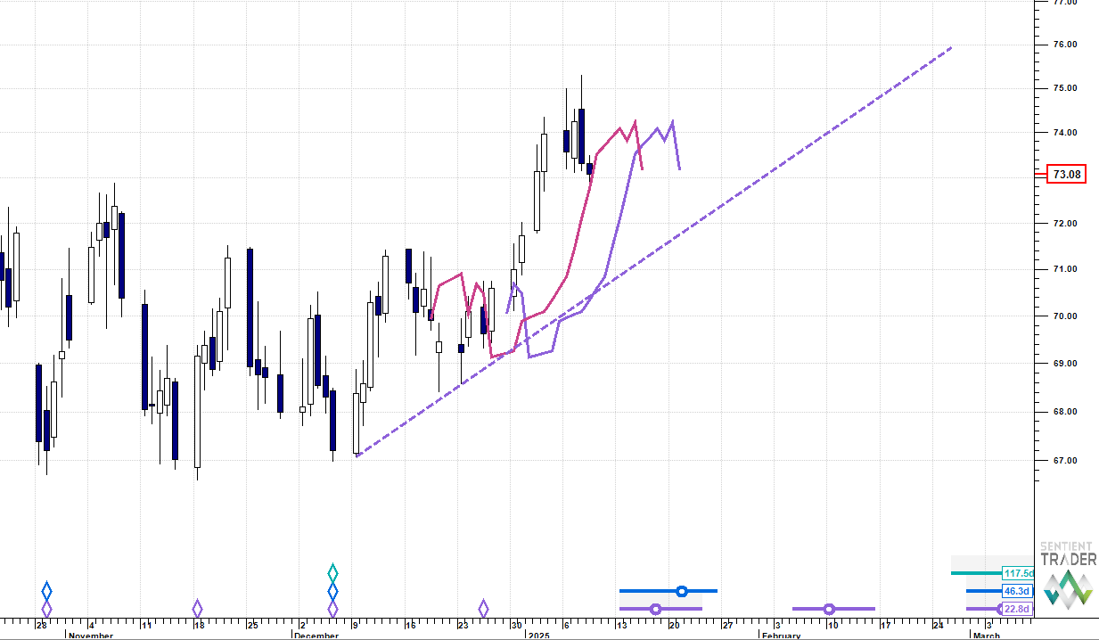 Oil (WTI) update - 9 January 2025